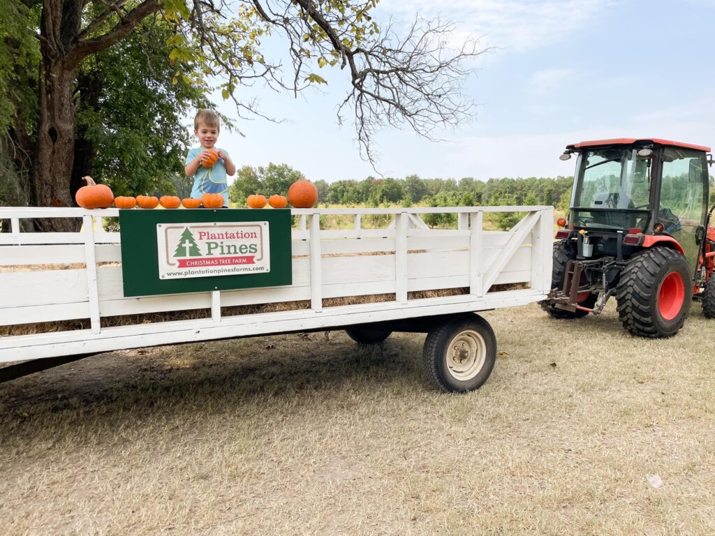 fall hayride – Plantation Pines